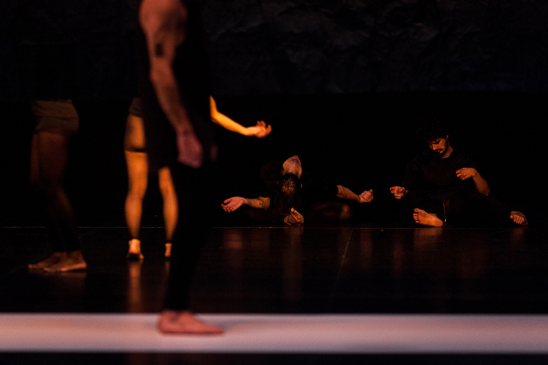 Marcelo Evelin / Demolition Incorporada "Sick Dance" | JDTA